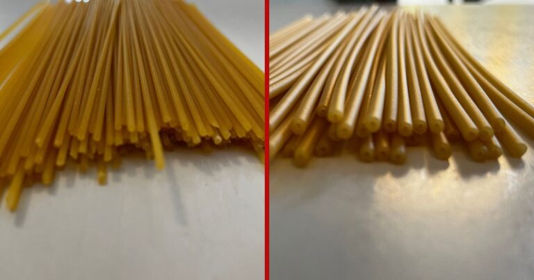 Bucatini VS Spaghetti: The Hollow Secret Revealed