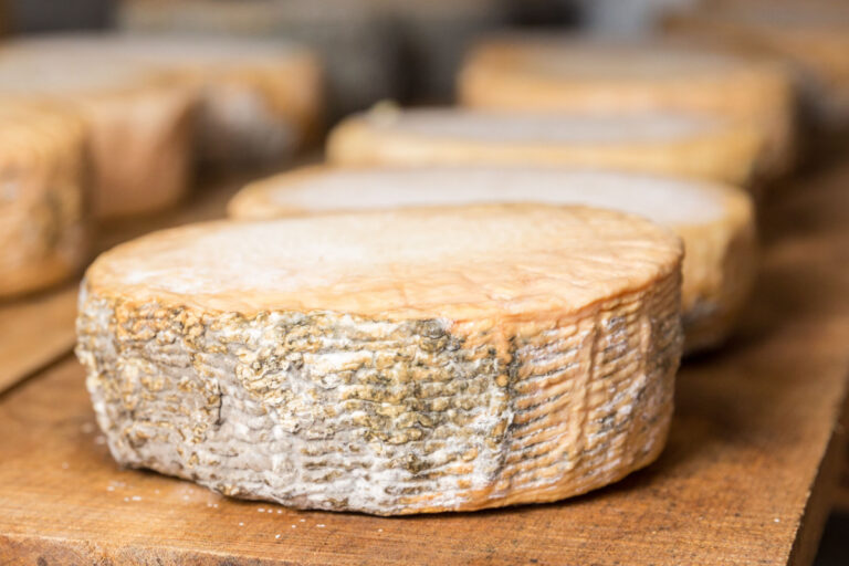 Tuscan Cheese Varieties: Pecorino and Its Curd Cousins