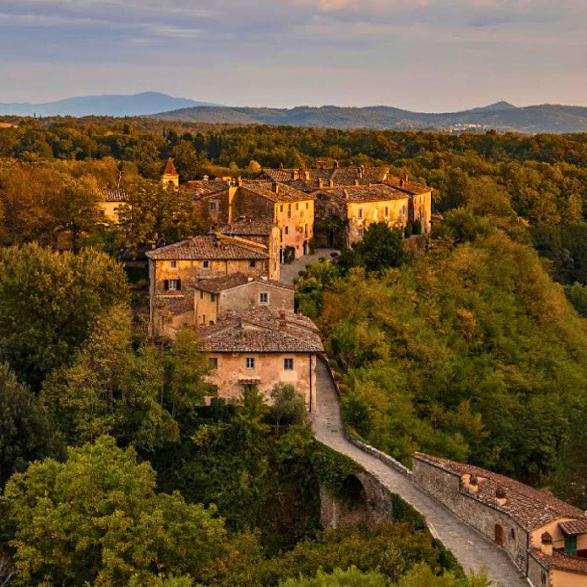 Explore the Finest Tuscan Wine Tours: Experience Premier Wineries and ...